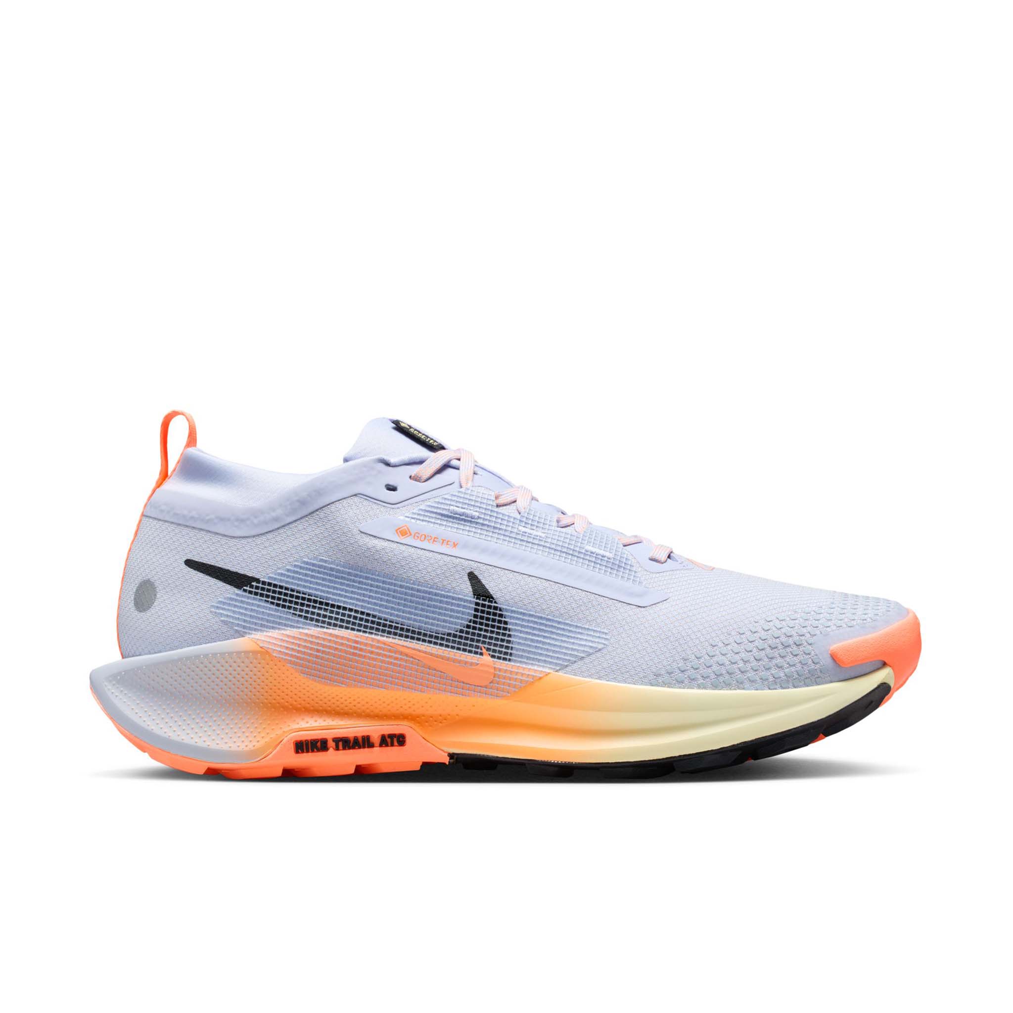 Nike Men's Pegasus Trail 5 GORE-TEX Running Shoes - Ghost | Run4It